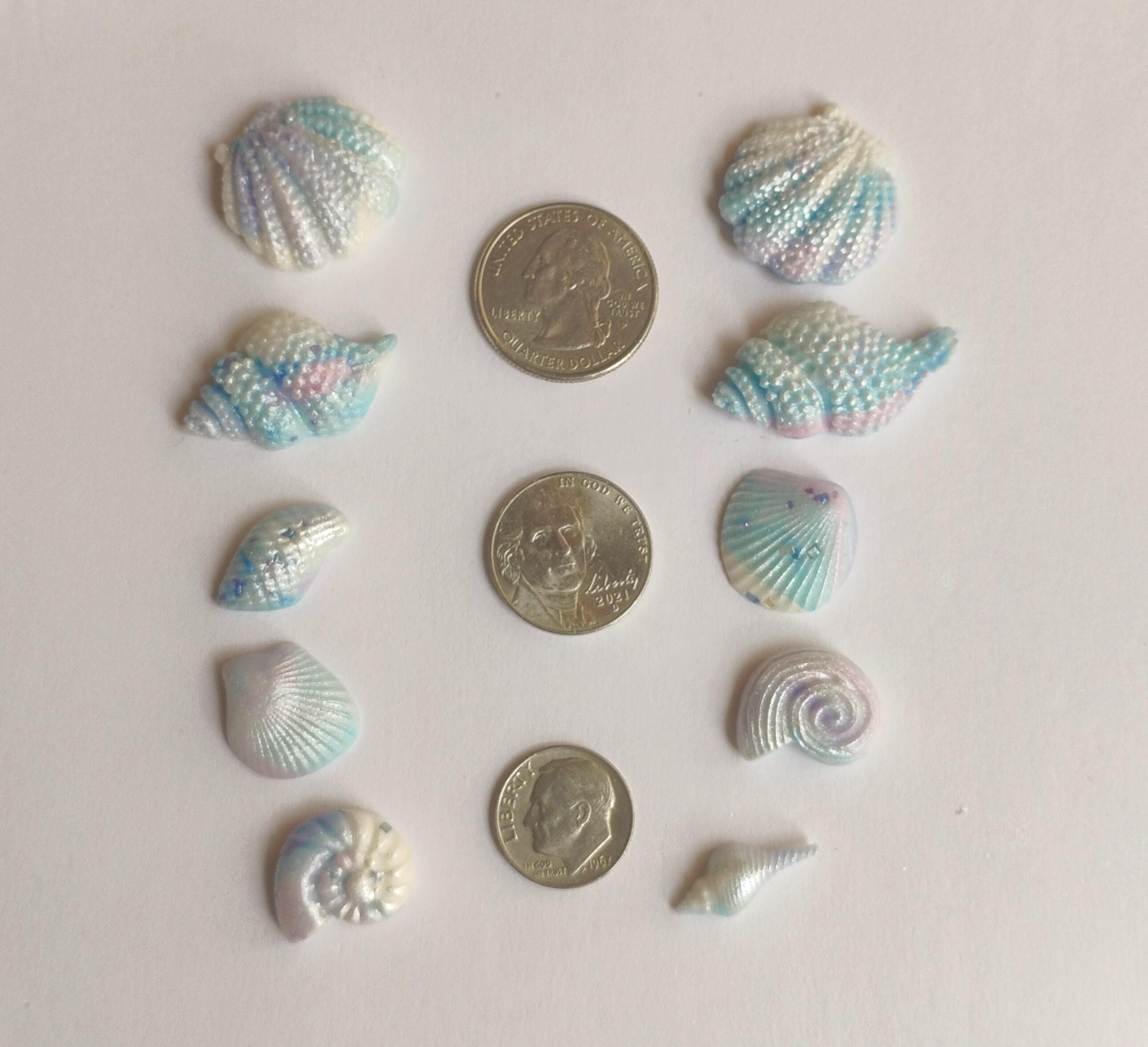 Assorted Edible Pastel Pearlescent Sea Shells - Etsy