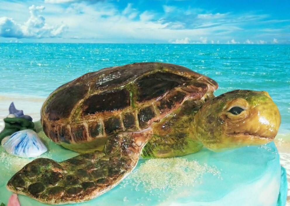 Large Realistic Fondant Sea Turtle Cake Topper Decoration | Etsy