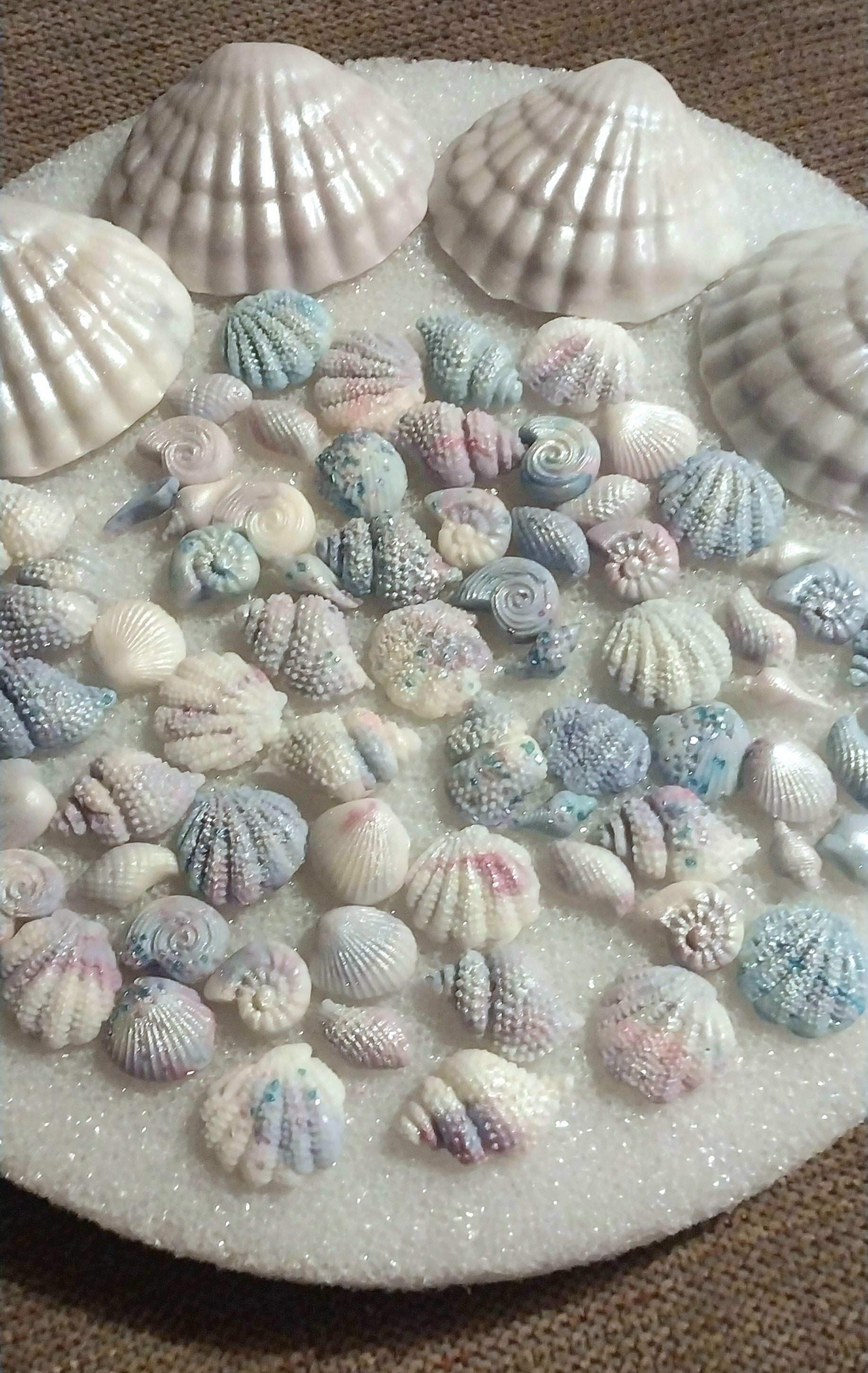 Assorted Edible Pastel Pearlescent Sea Shells - Etsy