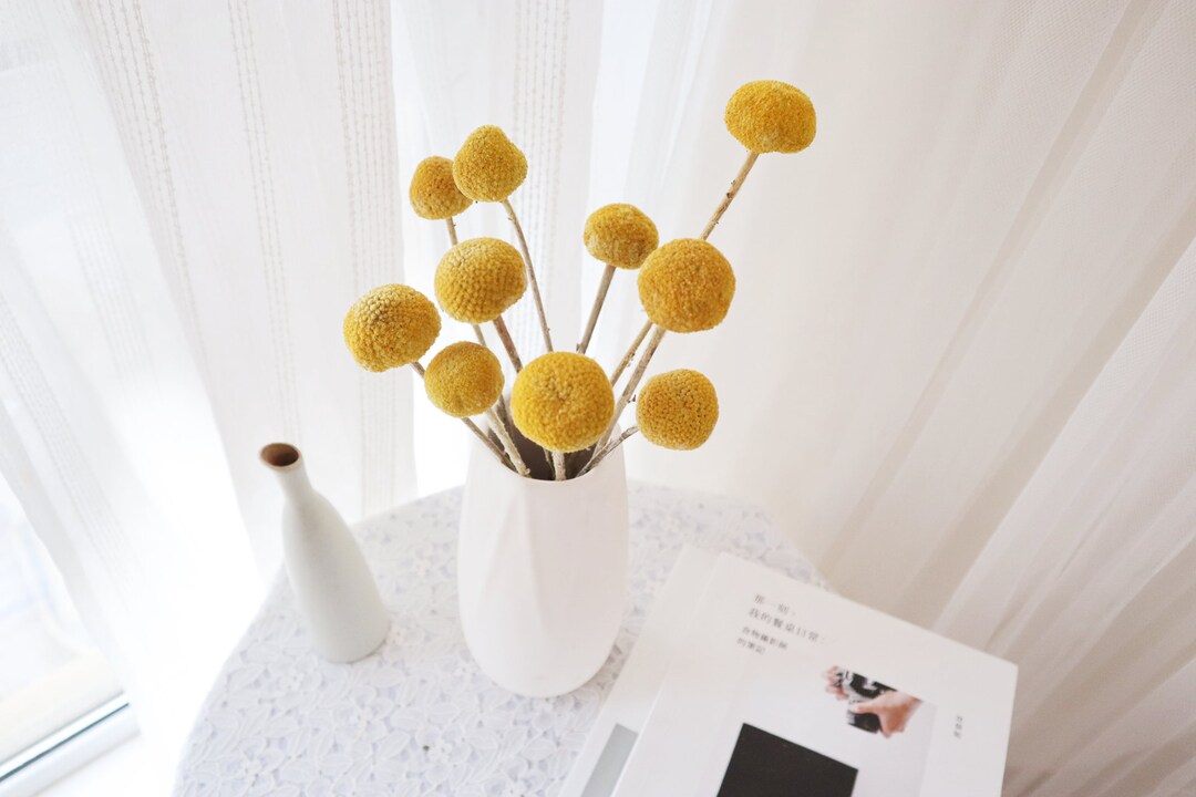 Billy Ball Bunch, Craspedia, Bunch of Craspedia, Dried Yellow Flowers ...