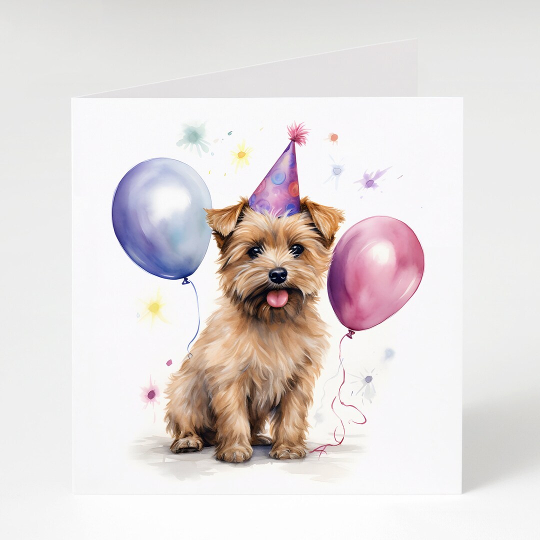 Norfolk Terrier Birthday Card, From the Dog, for the Dog, Cute Norfolk ...
