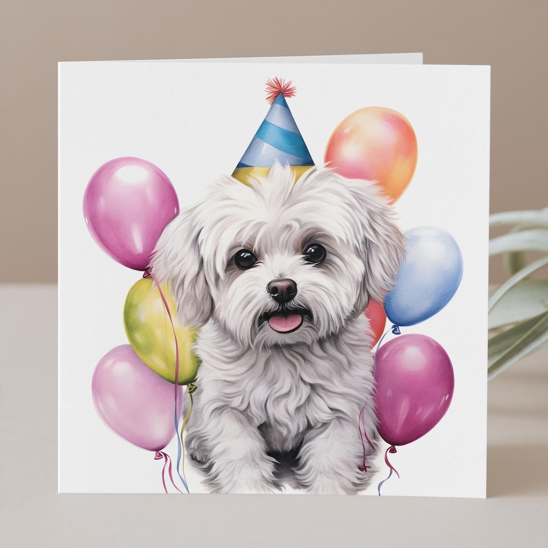 Maltese Birthday Card, Maltese Dog Card, Dog Birthday Card, Maltese ...