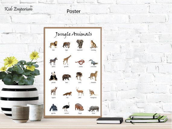 Toys Toys & Games Learning & School Jungle Animals Montessori ...