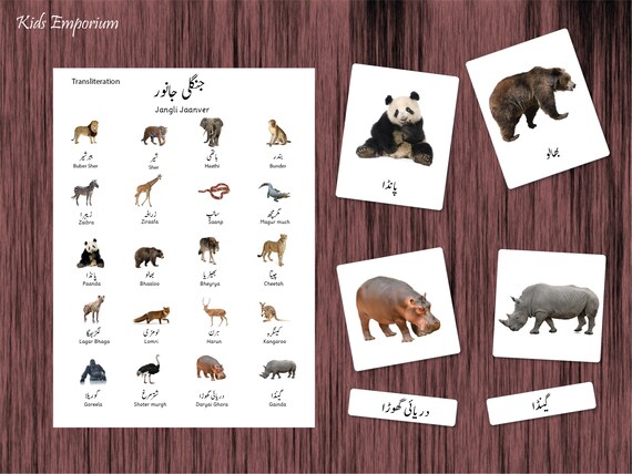 Animals Pictures With Names In Urdu