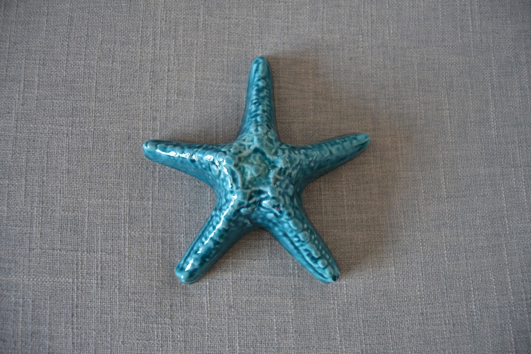 Starfish Wall Hanging Decor | Beach House Decor | Beach Lover Gift - Etsy