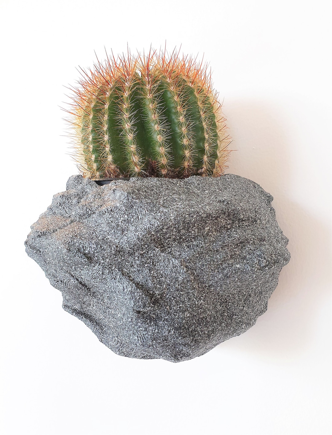 Granite Look Wall Planter: 3D Printed Stone Succulent Pot - Etsy