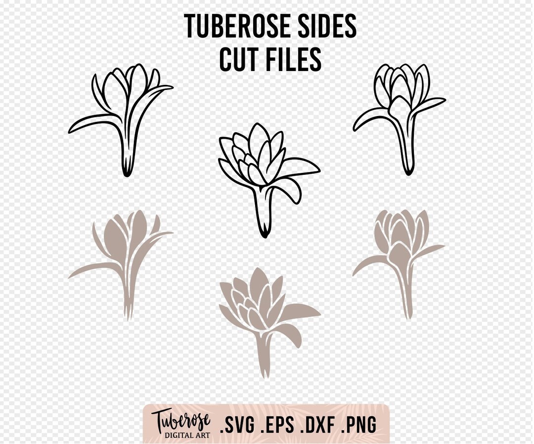 Tuberose Flower SVG, Side View Floral Icons, Flower Cricut Files for ...