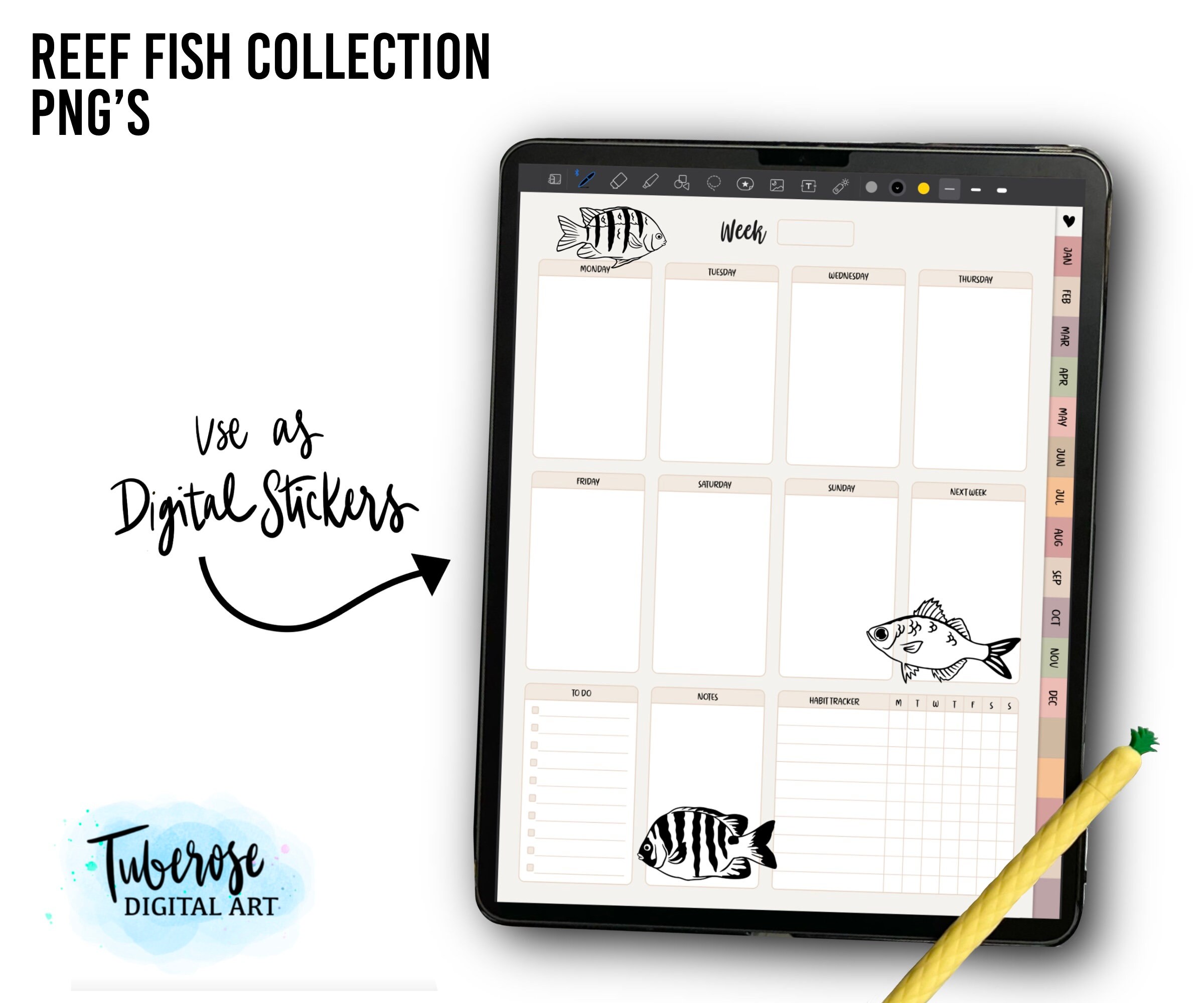 Reef Fish SVG Collection, Kupipi Blackspot, Mamo Sergeant, and ...