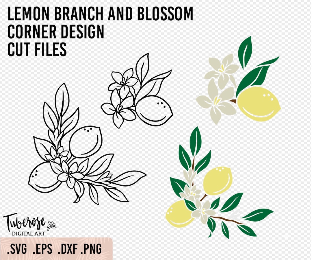 Lemon Branch & Blossom Corner SVG Laser File Lemon Flower - Etsy