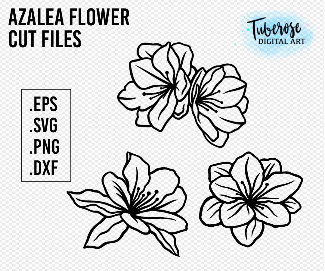 Azalea Flower SVG PNG Cut Files Rhododendron Floral - Etsy