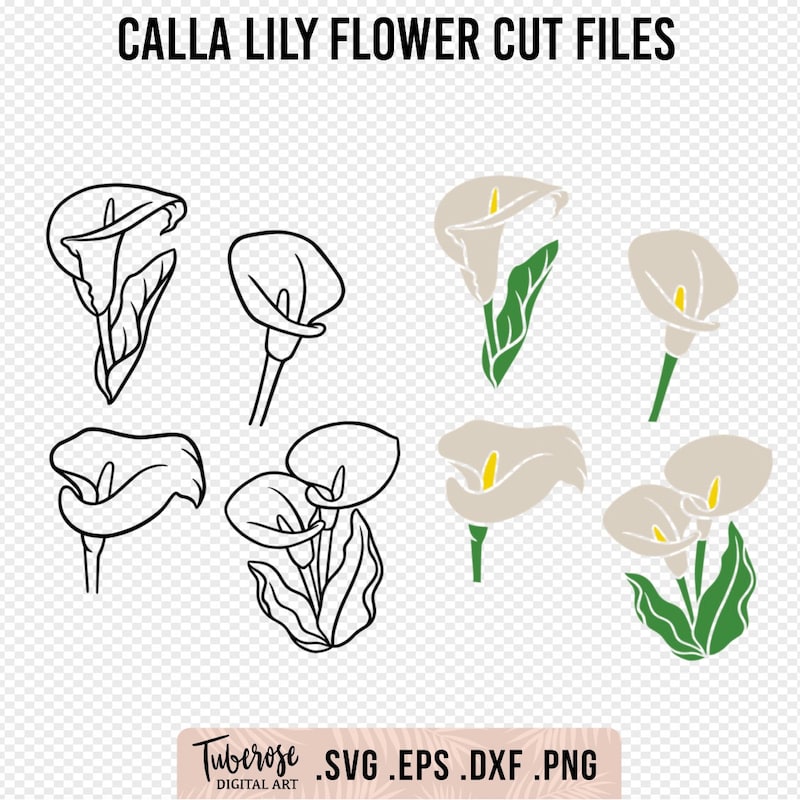 Lily Svg - Etsy