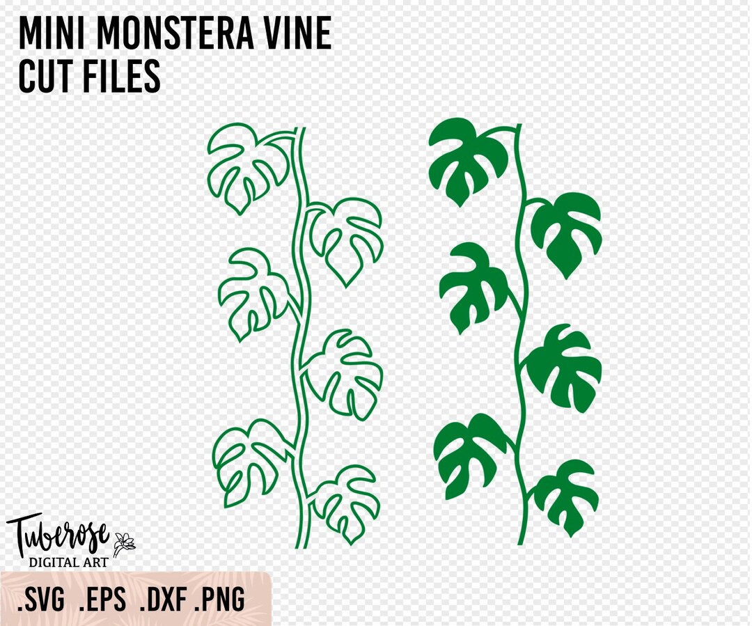 Mini Monstera Vine SVG, Monstera Rhaphidophora Plant Leaf Strand Cut ...