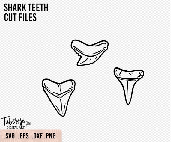 Shark Tooth Vector