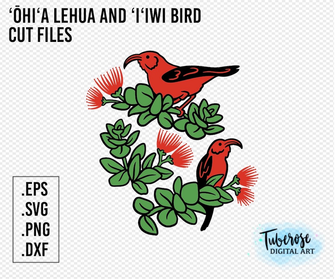 Ohia Lehua and I'iwi Svg, 'ohi'a Hawaiian Plant and Honeycreeper Cut ...