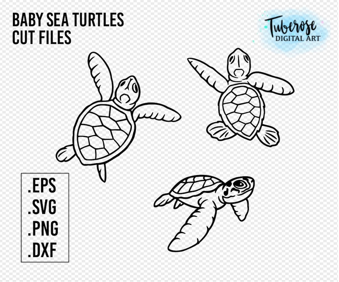 Baby Sea Turtle SVG Cut Files, Seaturtle Line Art Sticker Design, Ocean ...