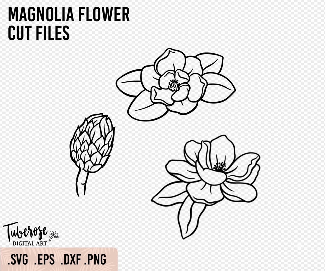 Magnolia Flower SVG, Spring Flower Svg, Magnolia Flower and Seed Line ...