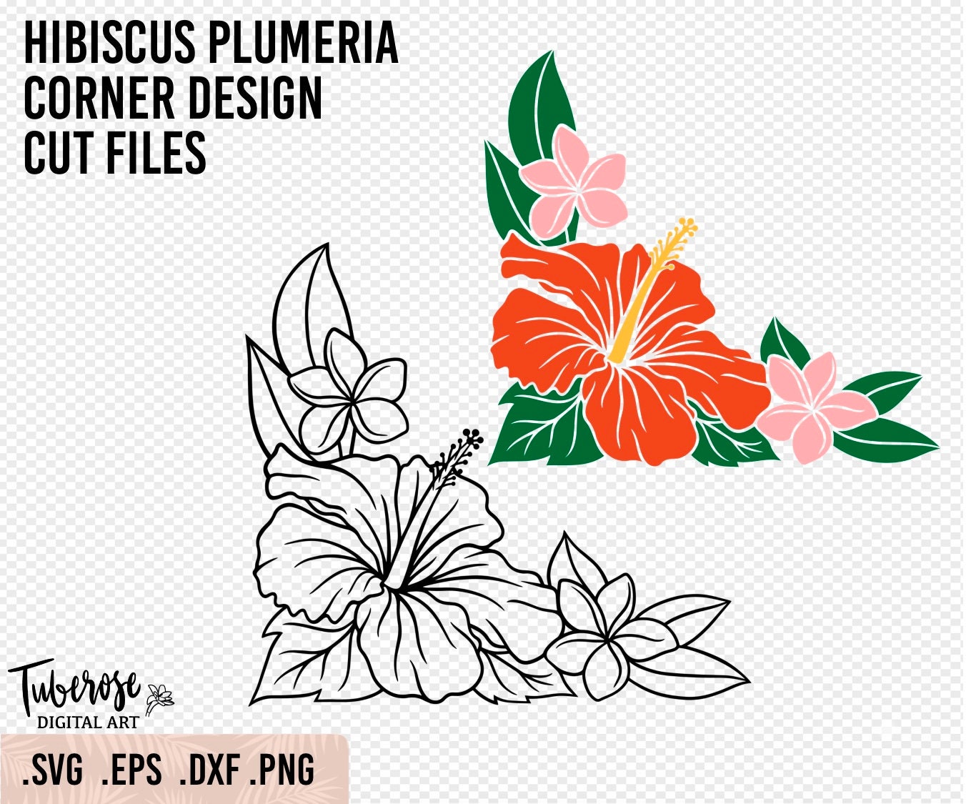 Hibiscus Corner Border