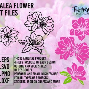 Azalea Flower SVG PNG Cut Files Rhododendron Floral - Etsy