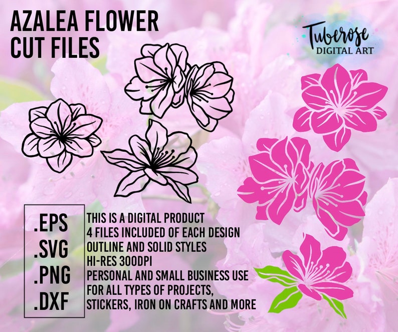 Azalea Flower SVG PNG Cut Files Rhododendron Floral - Etsy