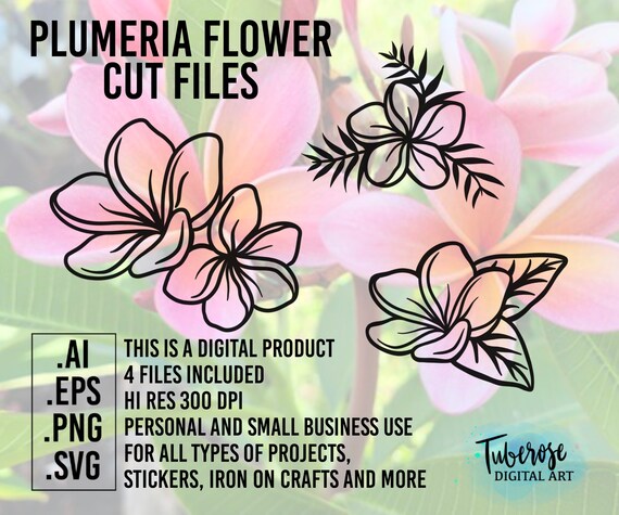 Small Plumeria Gardenia flower SVG PNG cut files Frangipani floral ...
