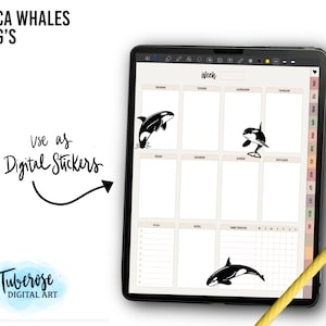 Orca Whale SVG Cut Files, Line Art Killer Whale, Sea Animal Designs ...