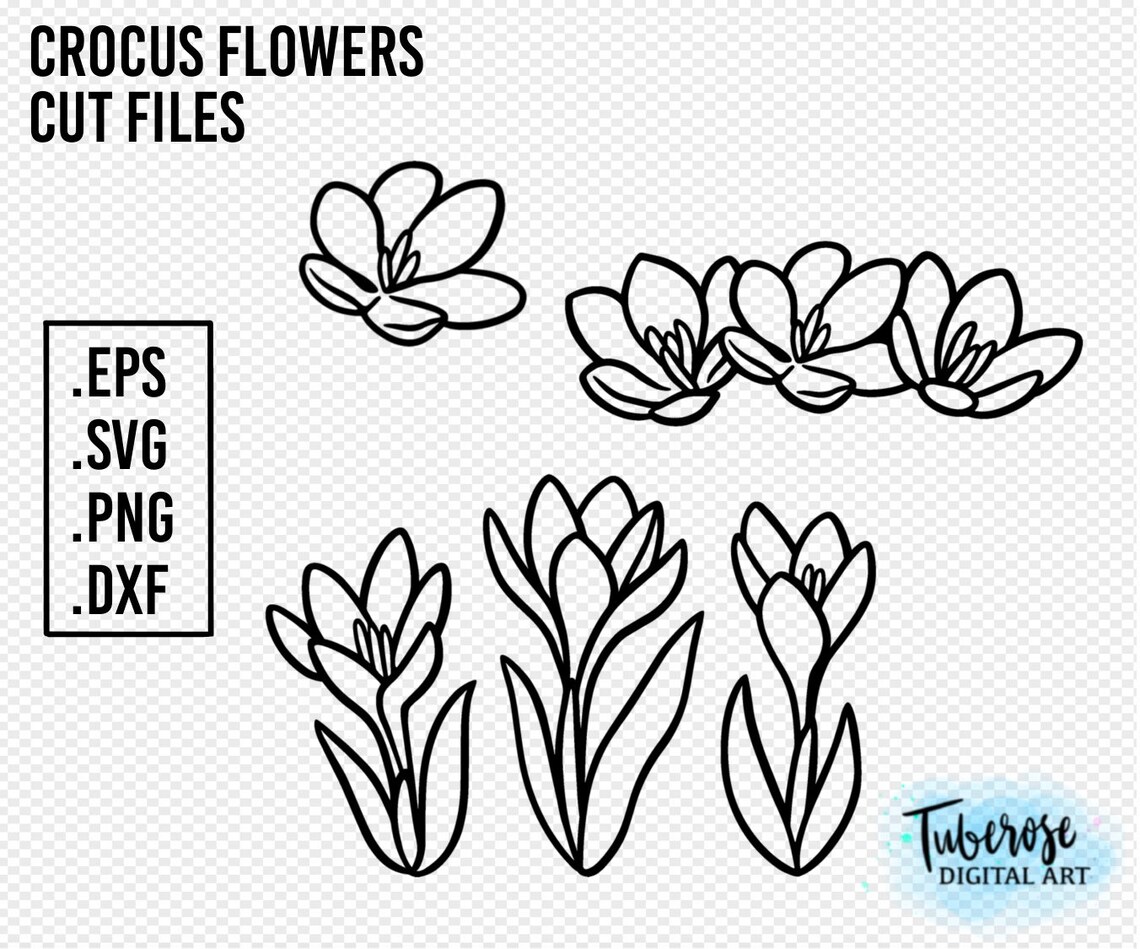 Crocus Flower SVG PNG Cut Files Spring Floral Illustrations | Etsy