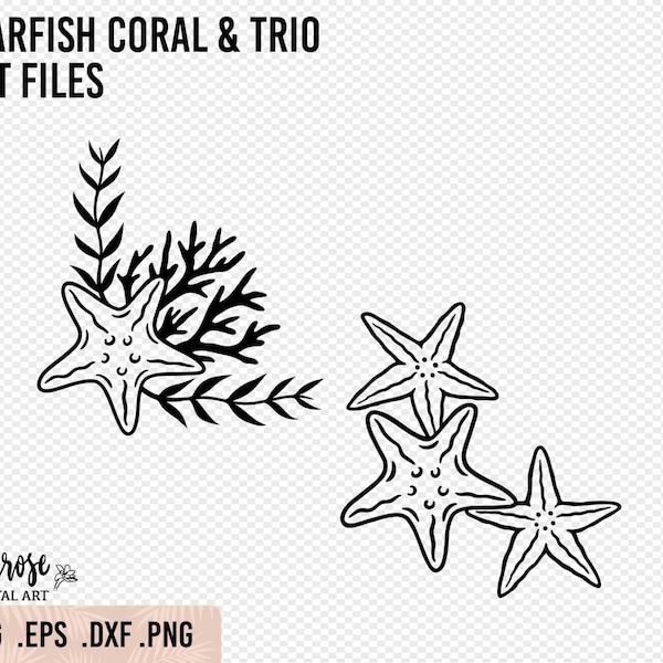 Starfish Svg - Etsy