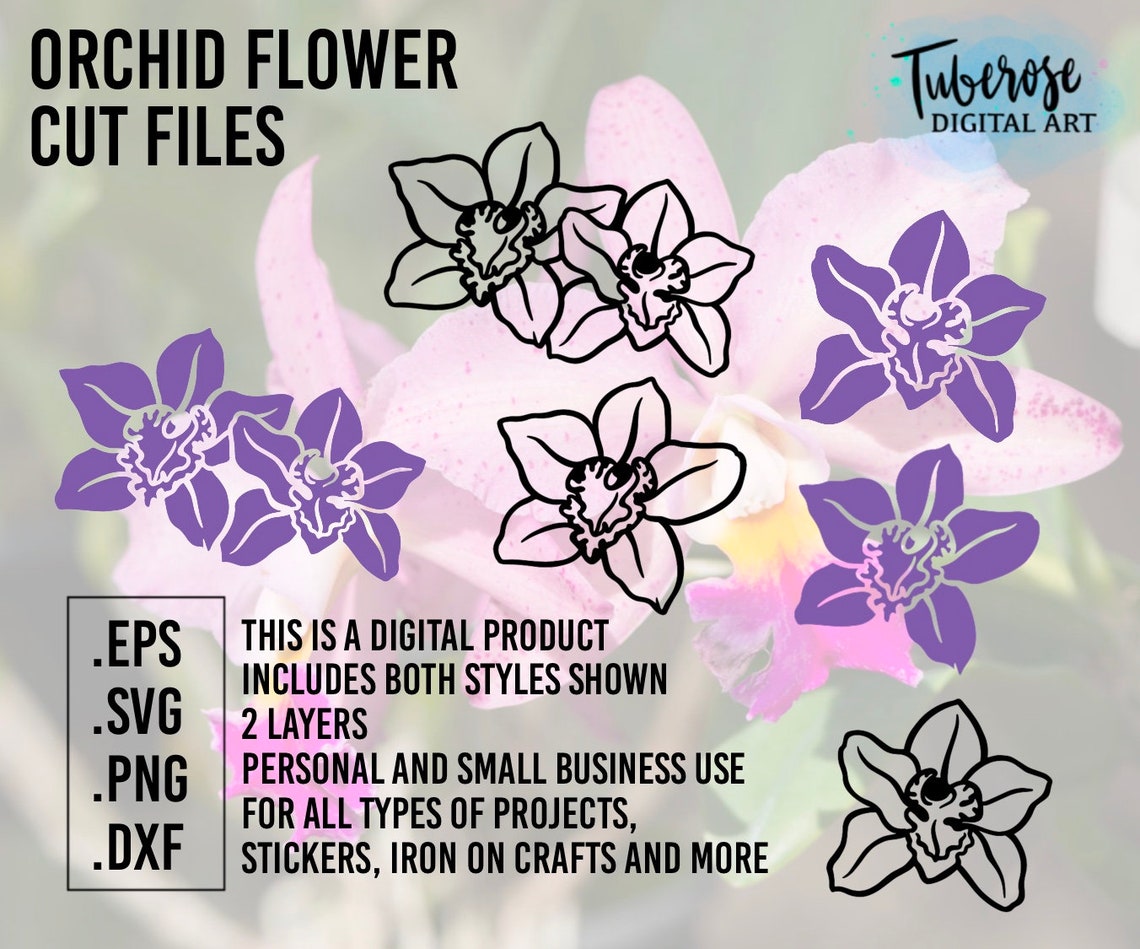 Orchid Flower SVG PNG Cut Files Cattleya Orchid Floral | Etsy