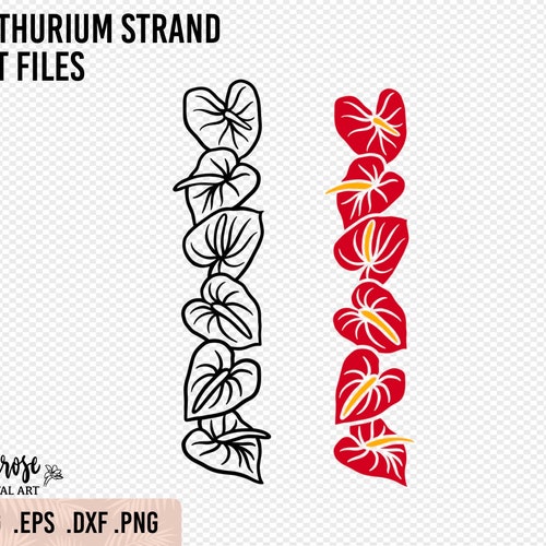 Tiare Flower SVG PNG Cut Files Tahitian Gardenia Floral - Etsy Israel