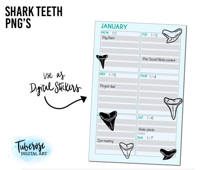 Shark Tooth SVG Great White Shark Teeth Cut Files Bull Shark - Etsy