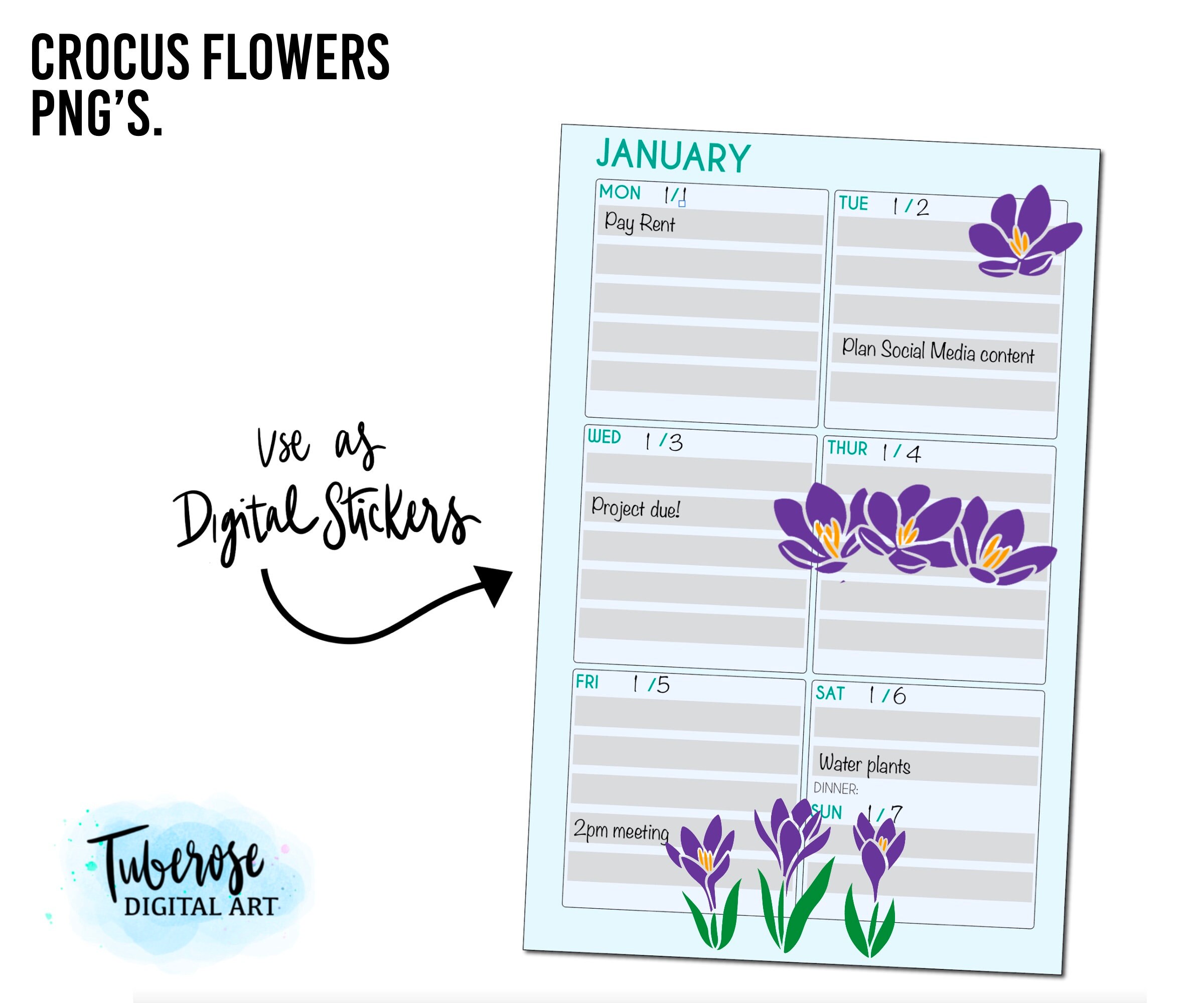 Crocus Flower SVG PNG Cut Files Spring Floral Illustrations | Etsy