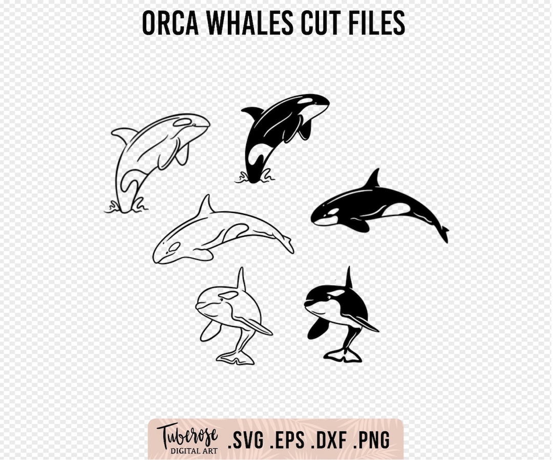 Orca Whale SVG Cut Files, Line Art Killer Whale, Sea Animal Designs ...