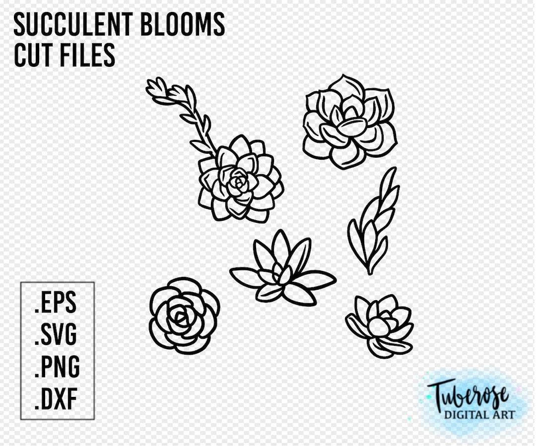 Succulent Blooms SVG Cut Files, Echeveria With Flower Svg, Pastel ...