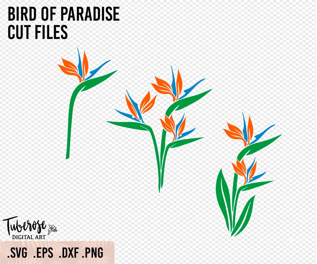 Bird of Paradise SVG, Tropical Cut Files, Layered Colored Floral Cricut ...
