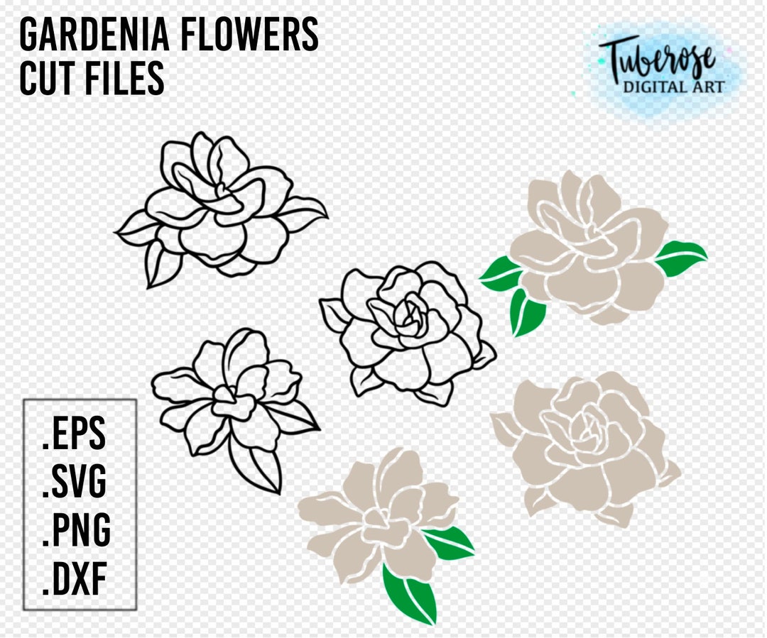 Gardenia Flower SVG PNG Cut Files, Gardenia Flowers Illustrations ...