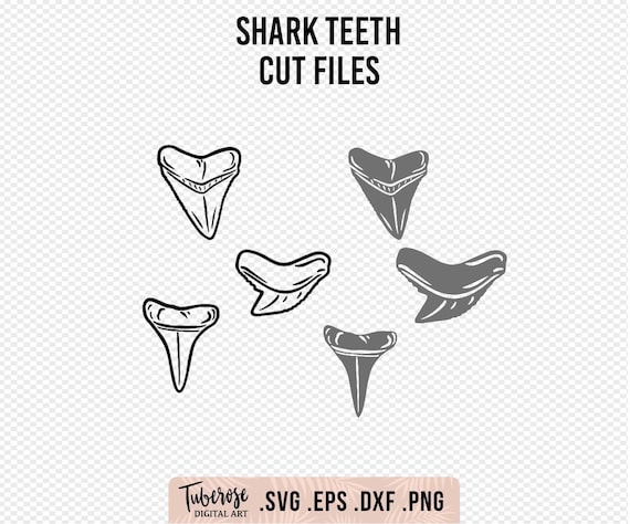 Great White Shark Teeth Drawing