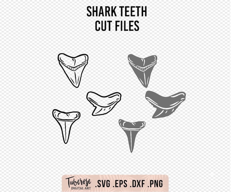 Shark Tooth SVG, Great White Shark Teeth Cut Files Bull Shark Tiger ...