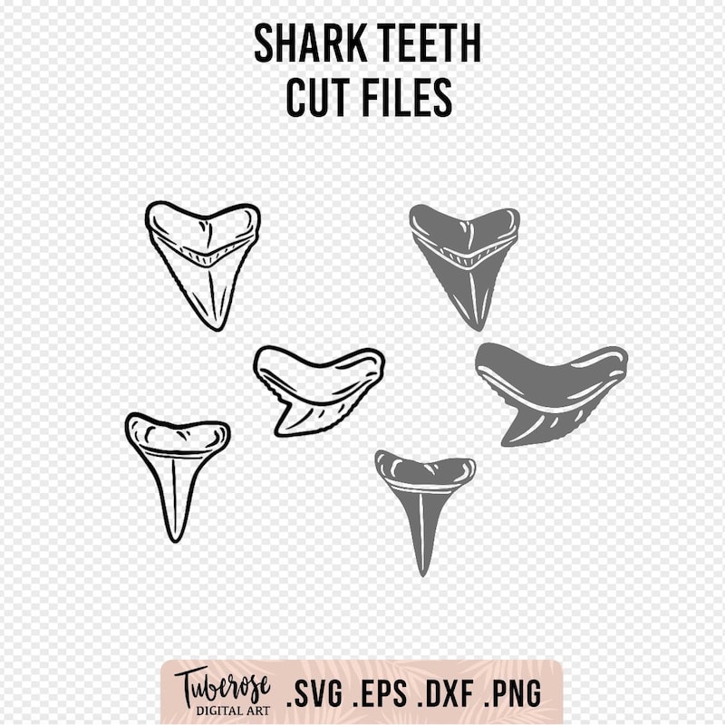 Shark Tooth Necklace - Etsy