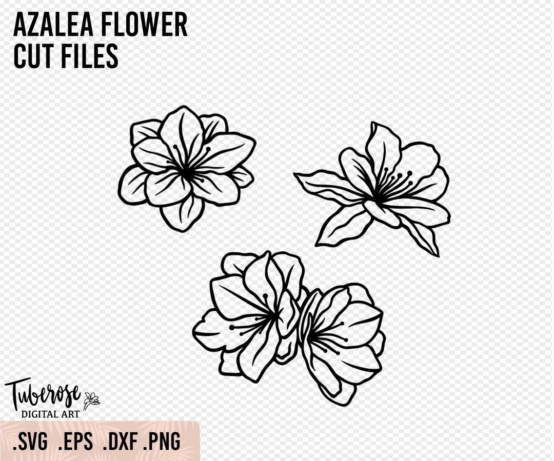 Azalea Flower SVG PNG Cut Files, Rhododendron Floral Illustrations ...