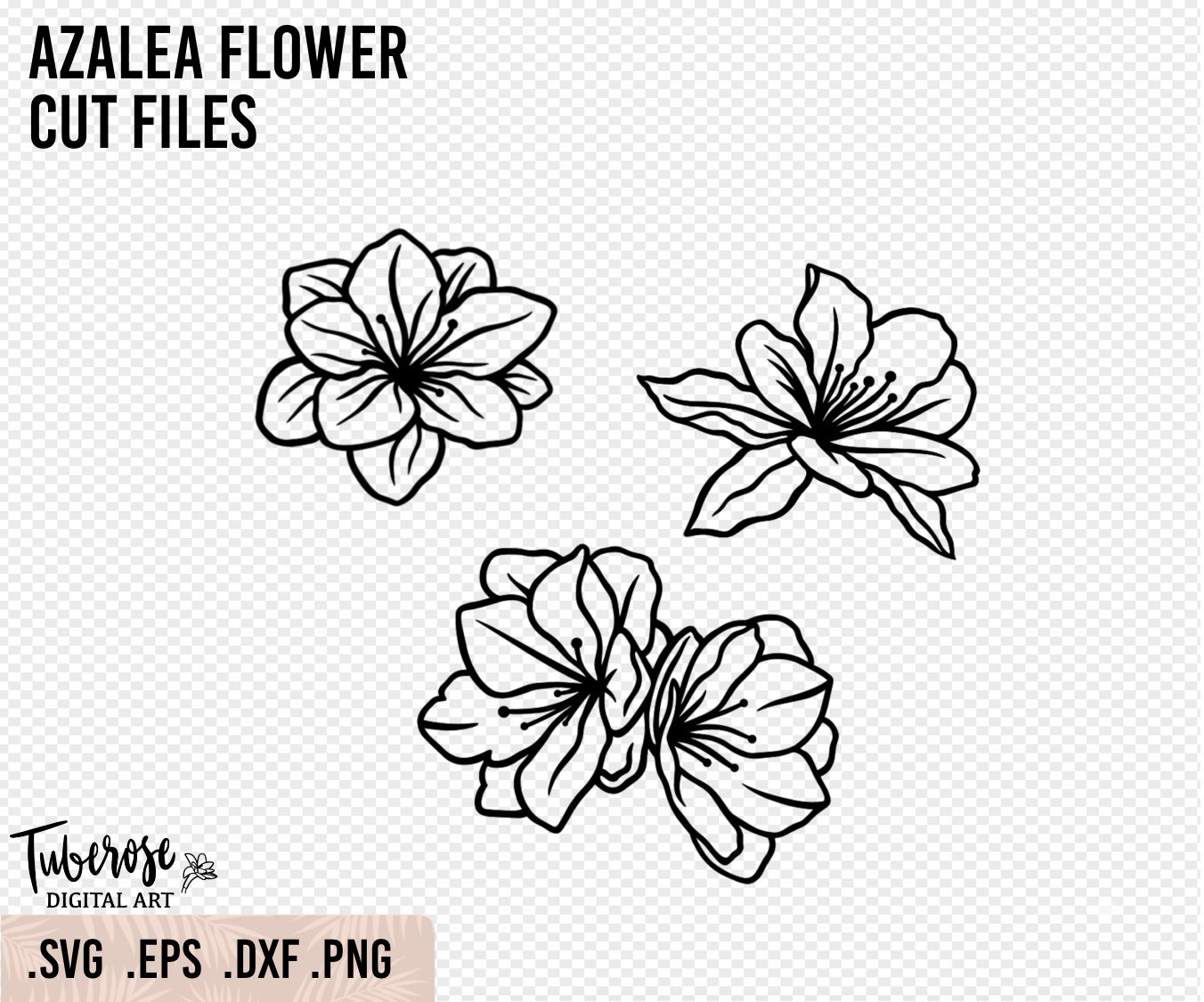 Azalea Flower SVG PNG Cut Files, Rhododendron Floral Illustrations ...