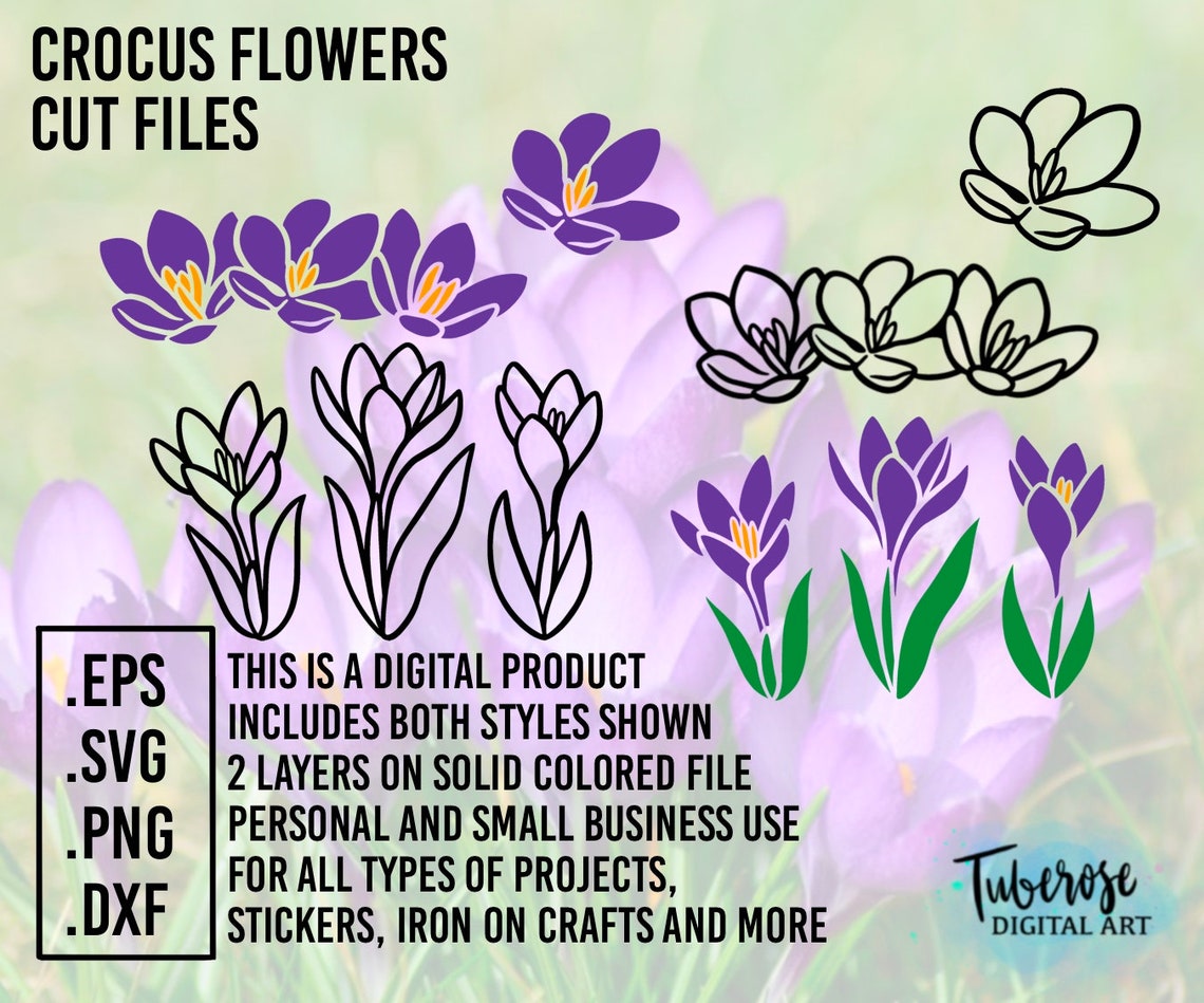 Crocus Flower SVG PNG Cut Files Spring Floral Illustrations | Etsy