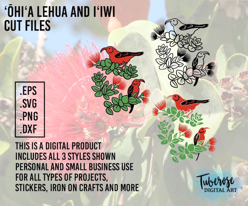 Ohia Lehua and I'iwi Svg, 'ohi'a Hawaiian Plant and Honeycreeper Cut ...