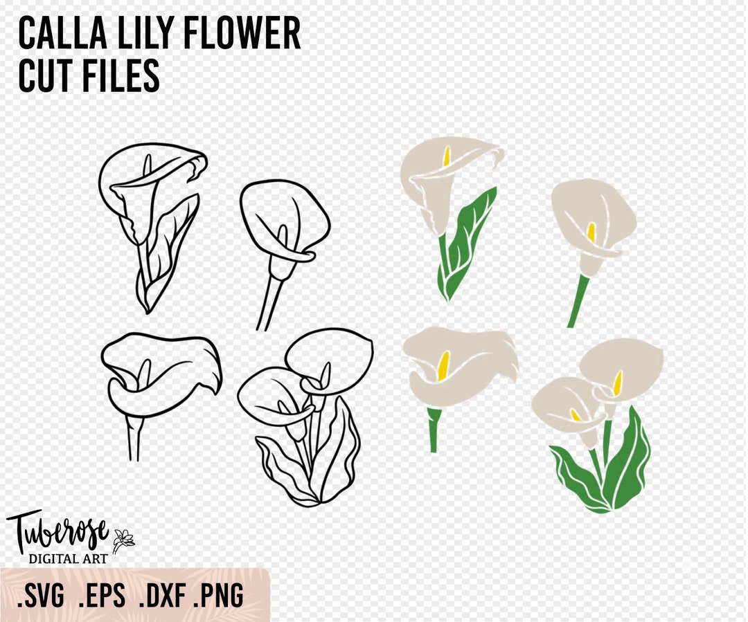 Calla Lily Flower Svgs, Illustrated Lily Line Art, Cricut Sticker File ...