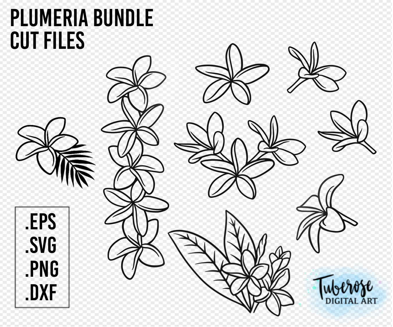 Plumeria SVG Bundle, Assorted Flower Styles, PNG Cut Files, Frangipani ...