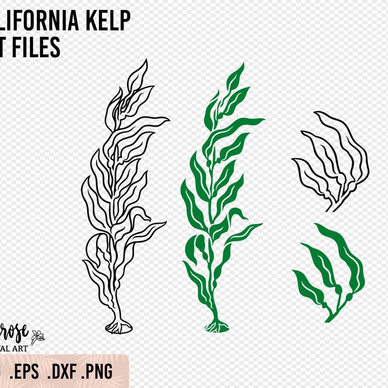 Kelp Forest Art - Etsy