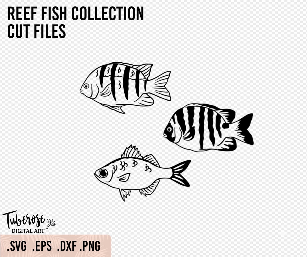 Reef Fish SVG Collection, Kupipi Blackspot, Mamo Sergeant, and ...