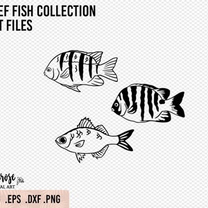 Reef Fish SVG Collection, Kupipi Blackspot, Mamo Sergeant, and ...