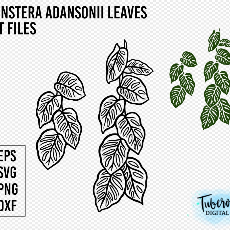 Monstera Leaves Border Svg - Etsy