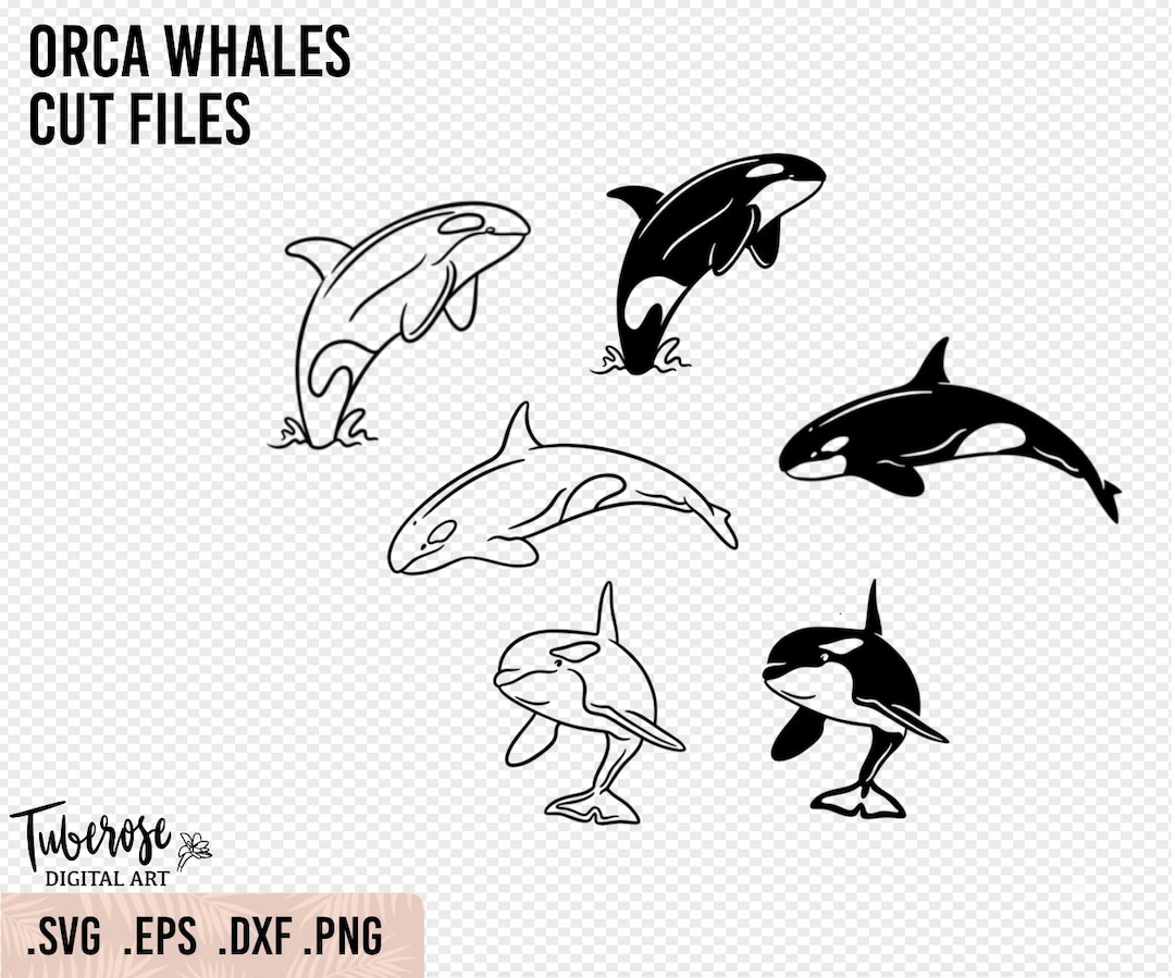 Orca Whale SVG Cut Files, Line Art Killer Whale, Sea Animal Designs ...