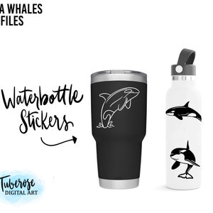 Orca Whale SVG Cut Files, Line Art Killer Whale, Sea Animal Designs ...